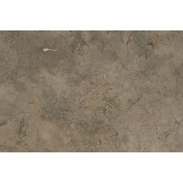 16×24 Fossil Brown Polished Limestone Field Tile – CERAMISTONE